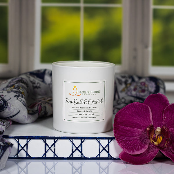 January Newsletter 01.24 - Bluesprucecandles